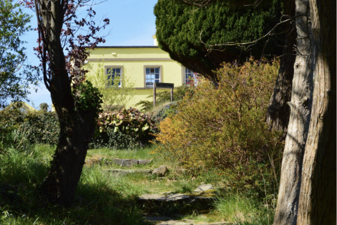 Introducing our School | Rockbrook Park School